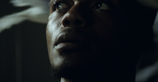 Palace 'When Everything Was Lost' by Freddie Wright | Videos | Promonews